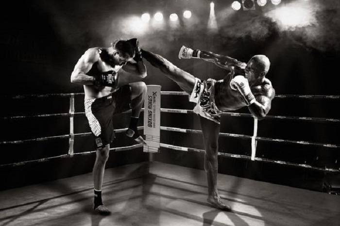 A Comprehensive Exploration of Combat Sports Examples - Thatsportlife.com